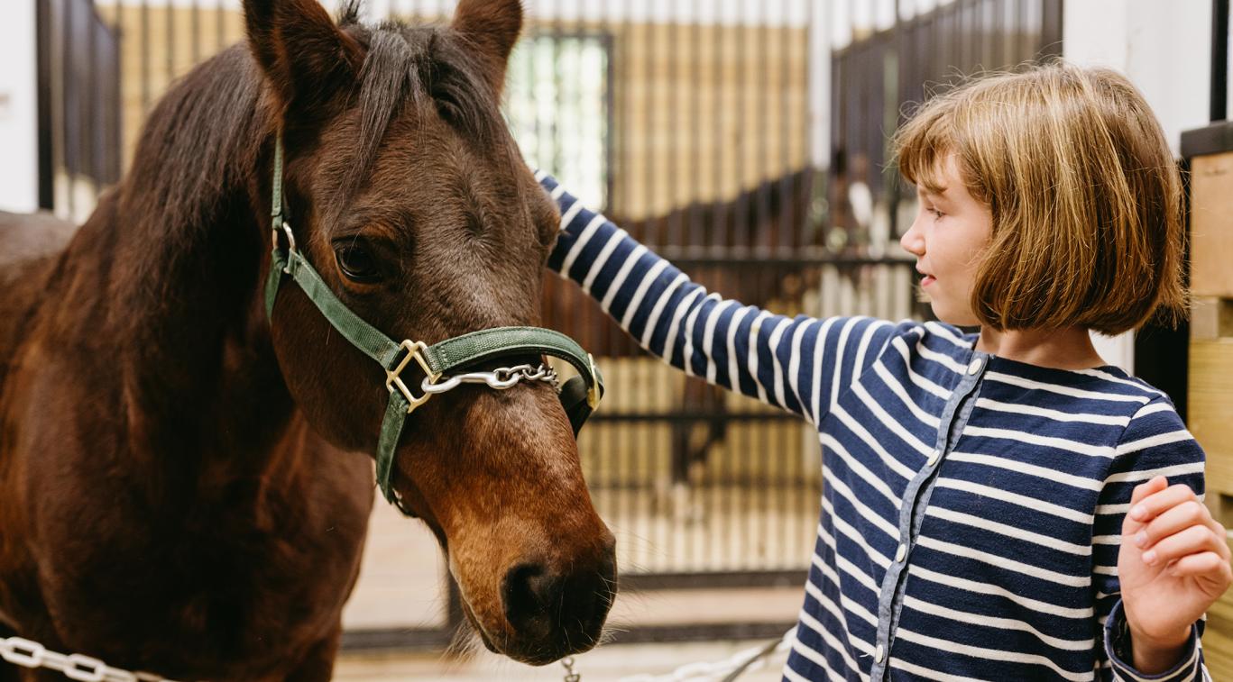 Photos of Grand Hotel Stables | Mackinac Island Carriage Tours