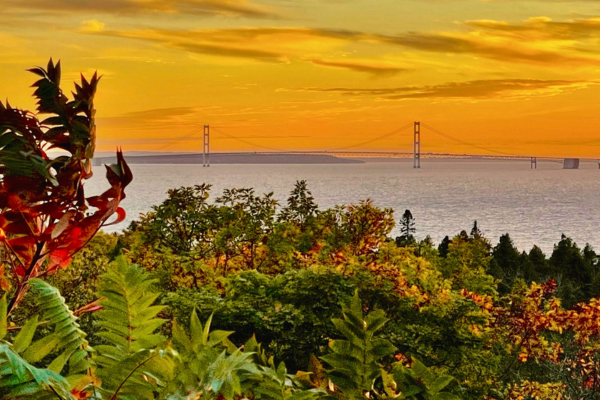 Mackinac Island Hotels with Pools | Esther Williams Pool